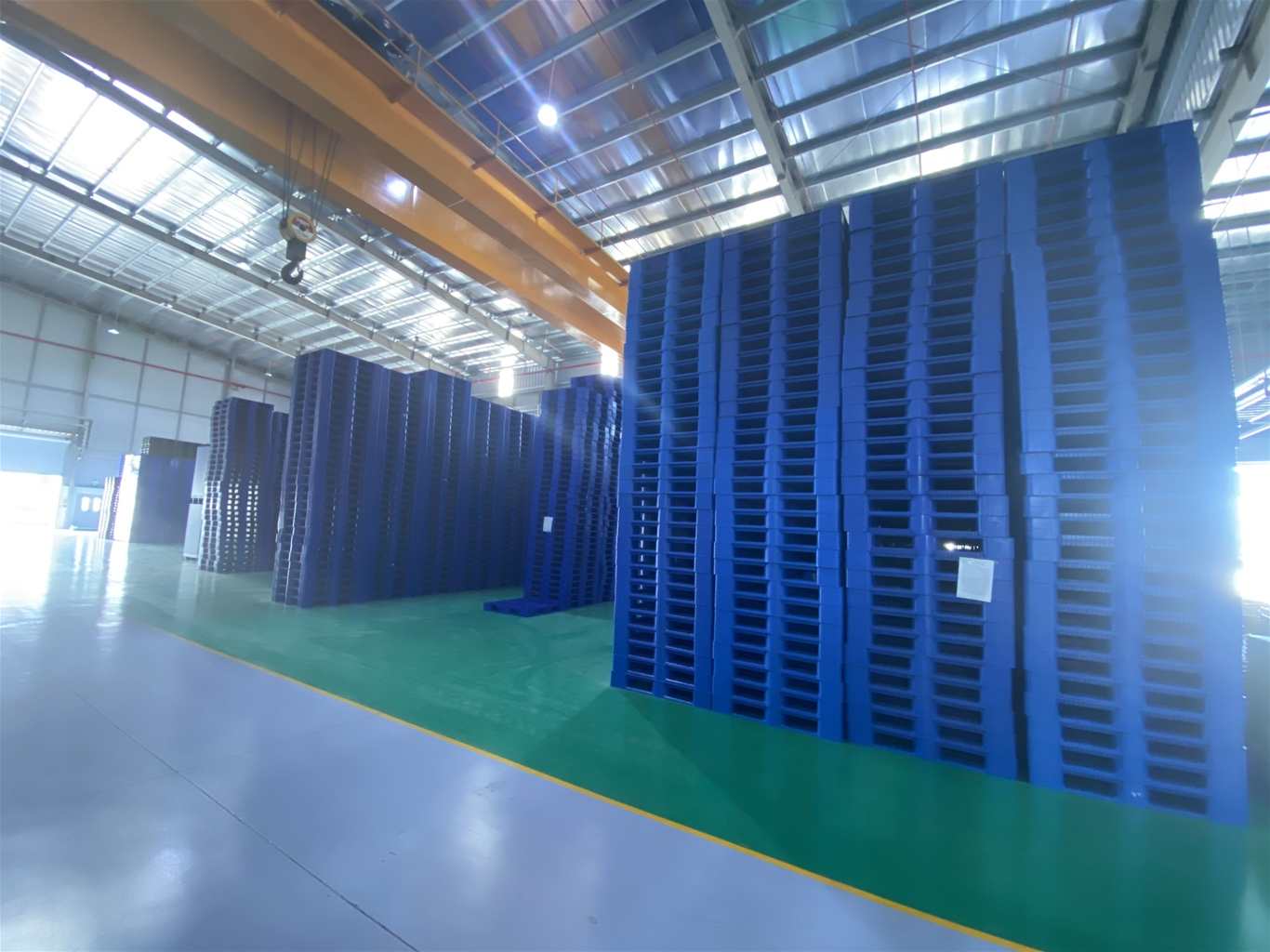 Plastic Pallet Manufacturing - Binh Thuan Plastic Group